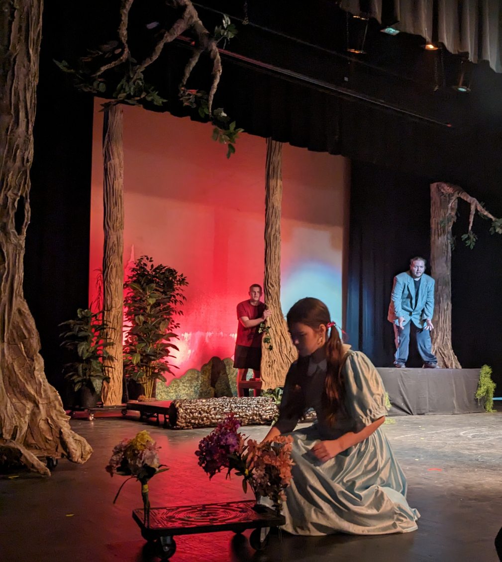 Triad High School Spring Musical ‘Into the Woods’ debuts March 21-23 ...