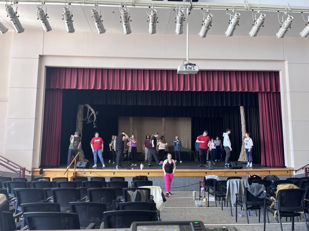 Triad High School Spring Musical ‘Into the Woods’ debuts March 21-23 ...