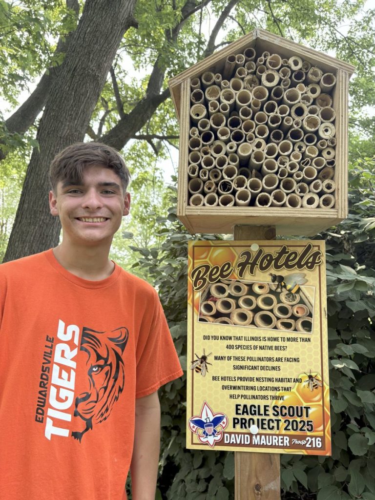 Eagle Scout Recognized for Maryville Project – The Troy Times Tribune