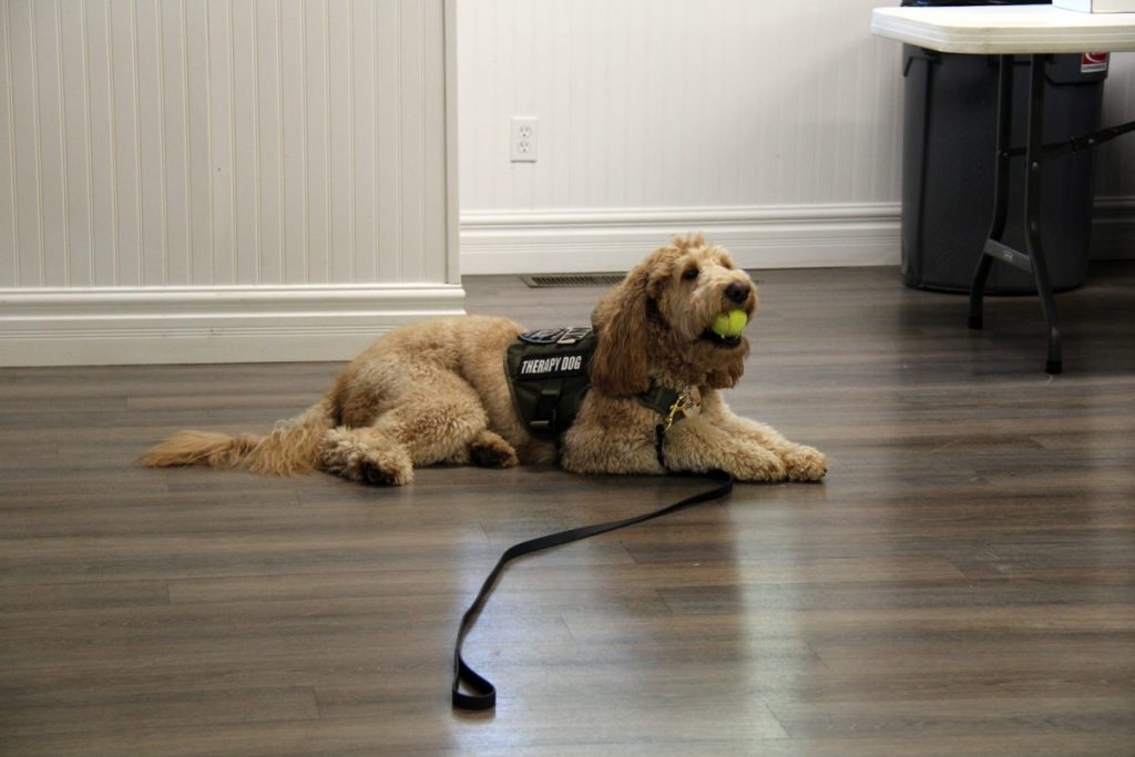Troy Senior Center goes to dogs as local K-9 unit visits – The Troy ...